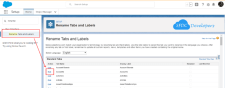 Rename Standard Object and field labels – SFDC Developers
