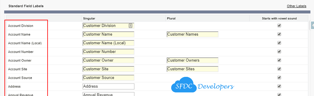 Rename Standard Object and field labels » SFDC Developers